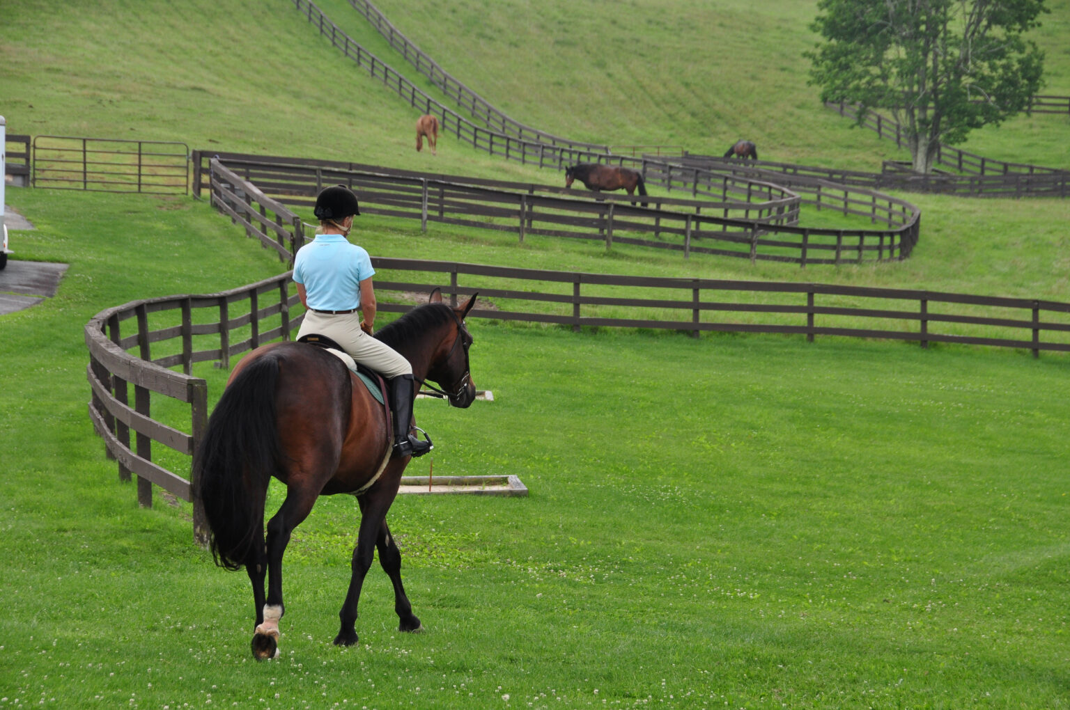 Top 3 Horseback Riding Trails near Banner Elk, NC | Elk River Club